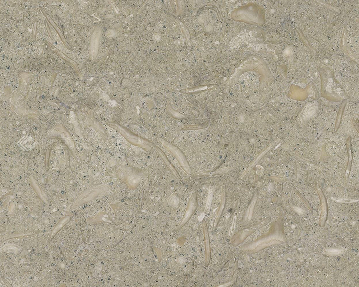 Shellstone Gray – TB Stone